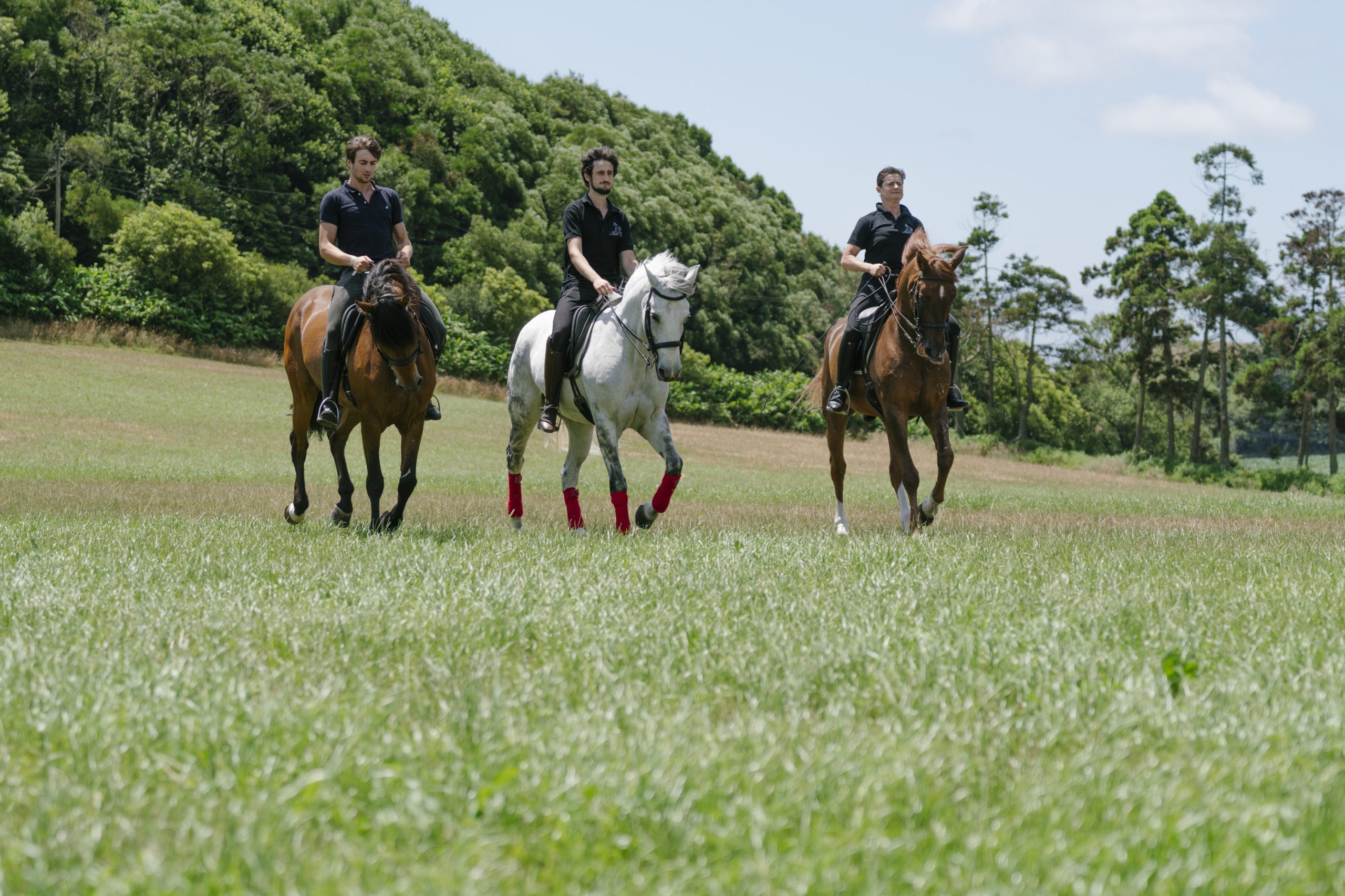 Horseback riding lessons - Monte Inglês