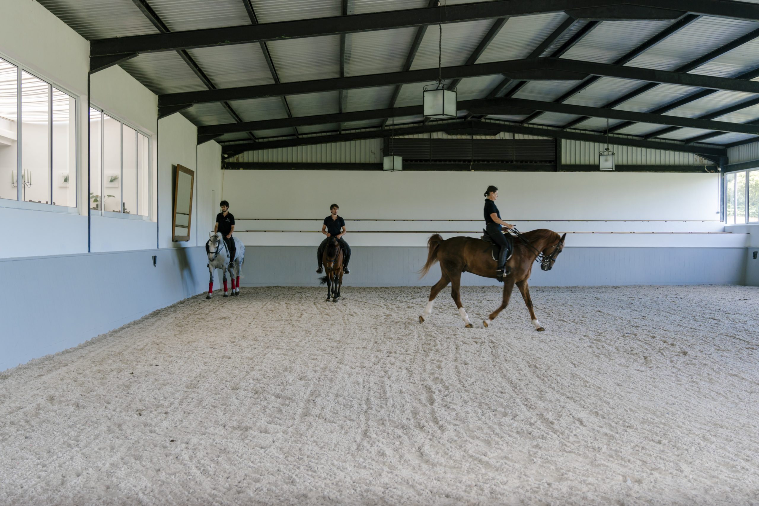 Equitação, Exploração Leiteira | Experiências Únicas nos Açores